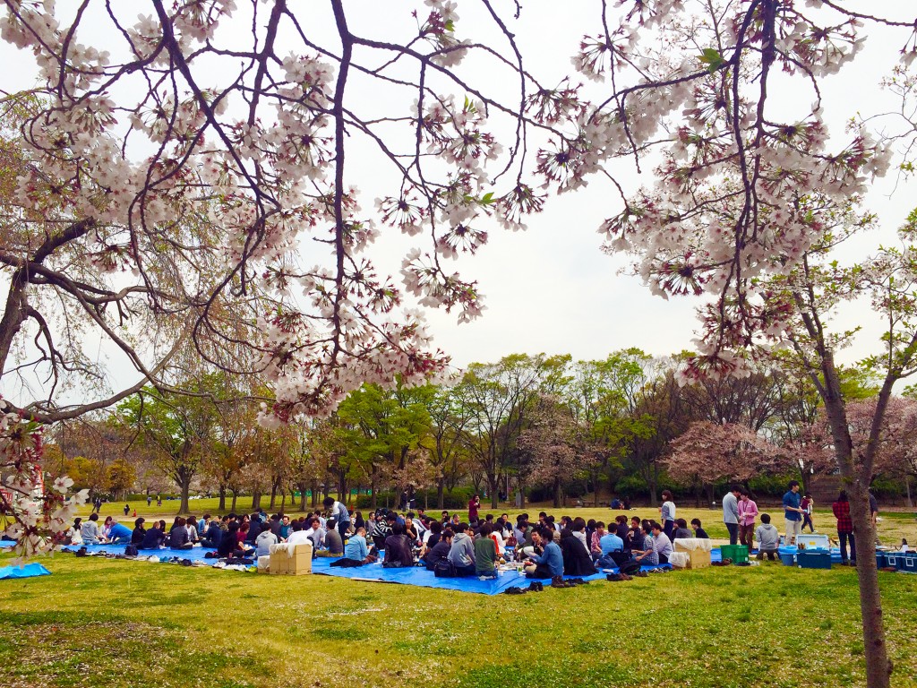 April showers bring new recruits! - PlatinumGames Official ...