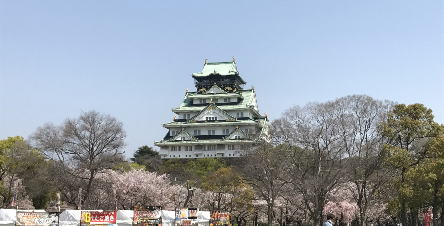 PlatinumGames celebrates springtime in Osaka - PlatinumGames Official ...